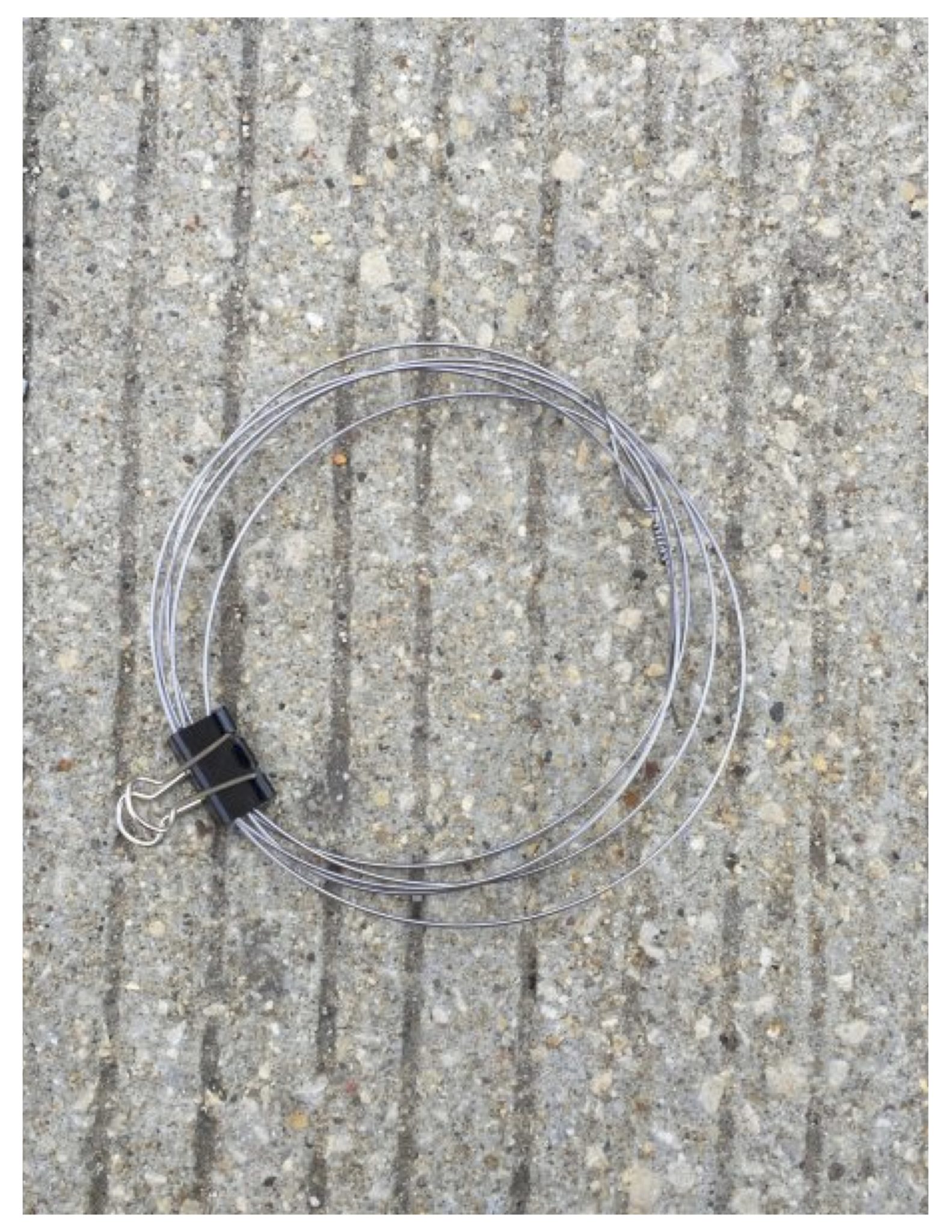 Arcomusical (staff only) | Arcomusical