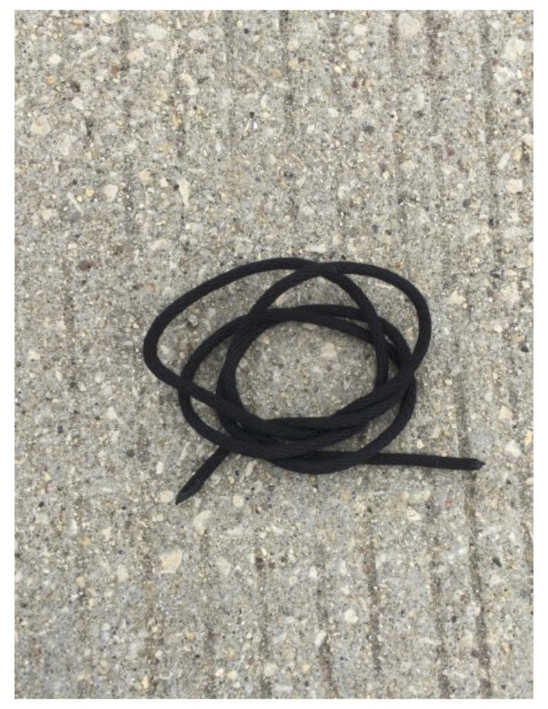 Arcomusical (staff only) | Arcomusical